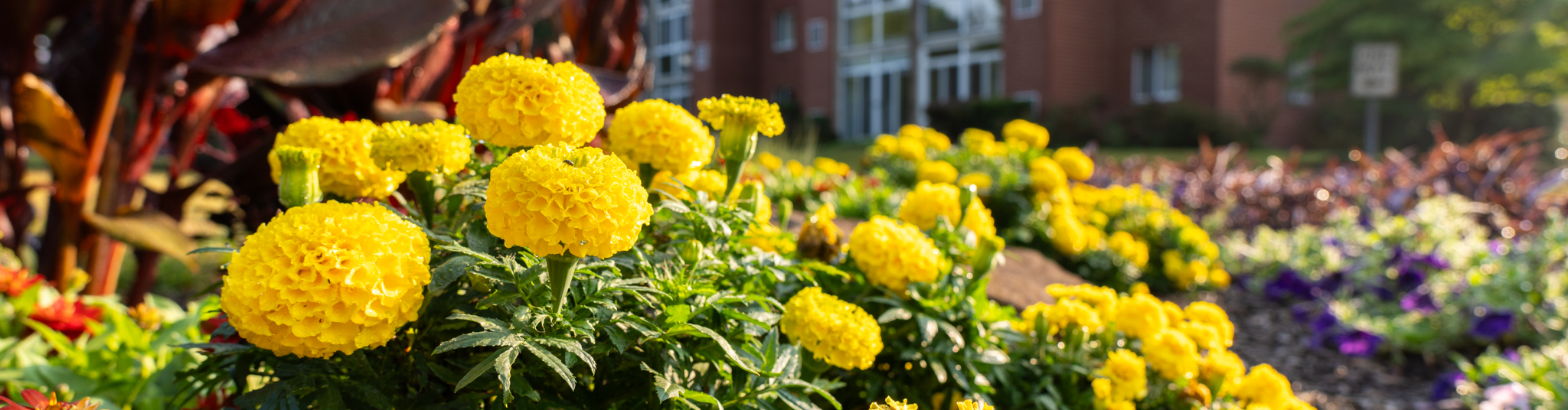 Portfolio - Sarver Landscape